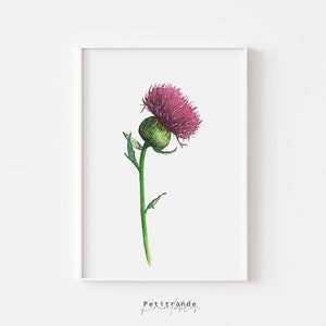 Thistle Print, Botanical Wall Art Prints, Flower Printable Wall Art ...