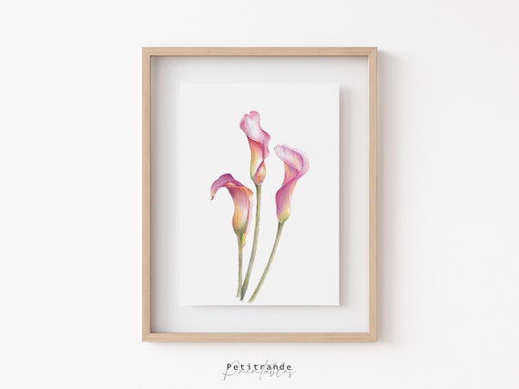 Calla Lily Print Botanical Wall Art Prints Flower Printable | Etsy