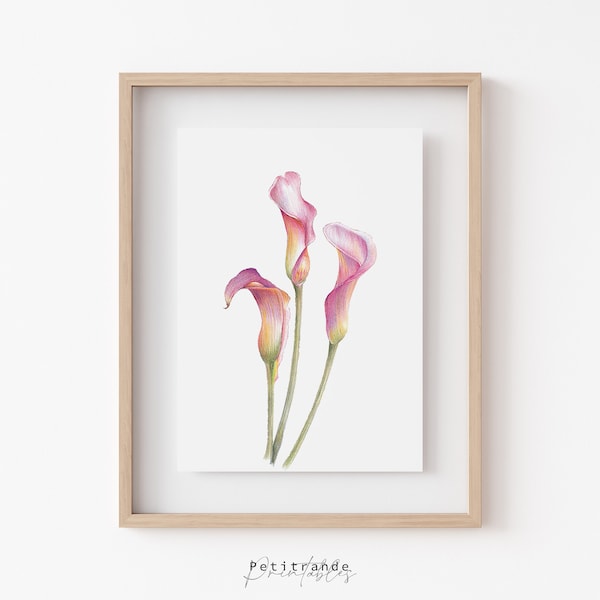 Calla Lily Art - Etsy