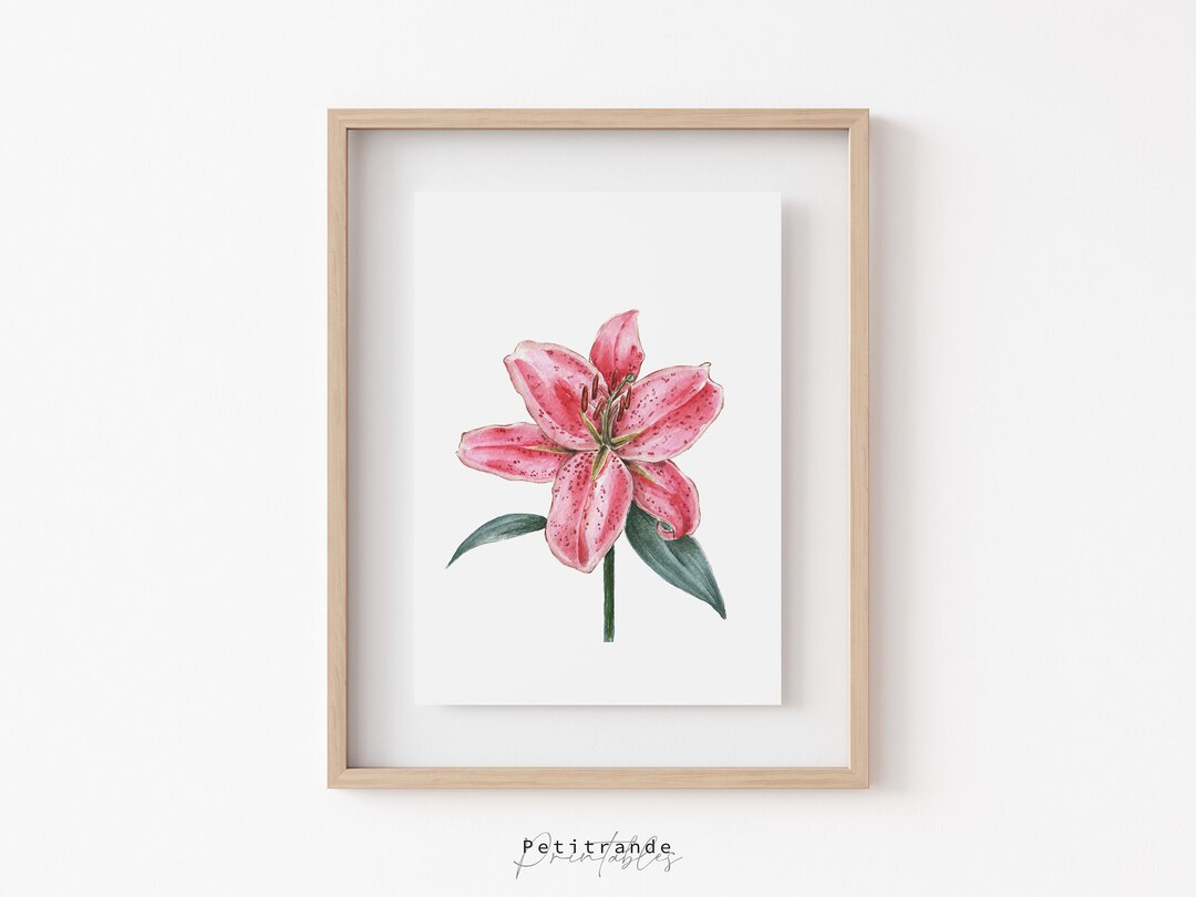 Lily Print, National Flower of Kazakhstan, Botanical Wall Art Prints ...