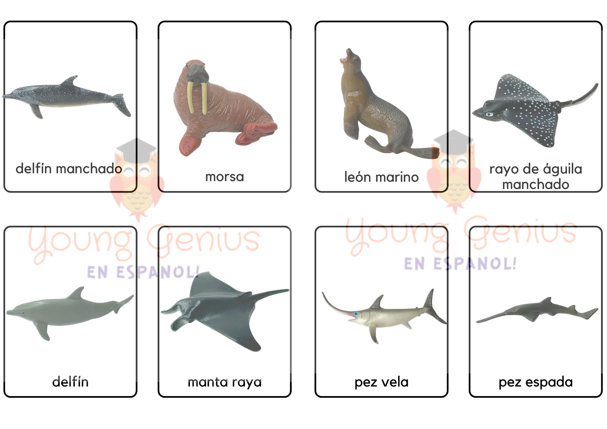 DIGITAL Ocean Animals in Spanish DOWNLOAD Flashcards - Etsy