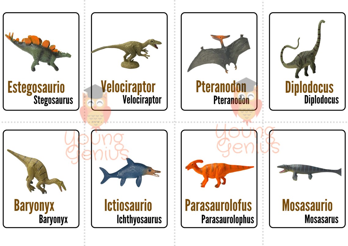 DIGITAL Dinosaurs -flashcards in Spanish DOWNLOAD - Etsy