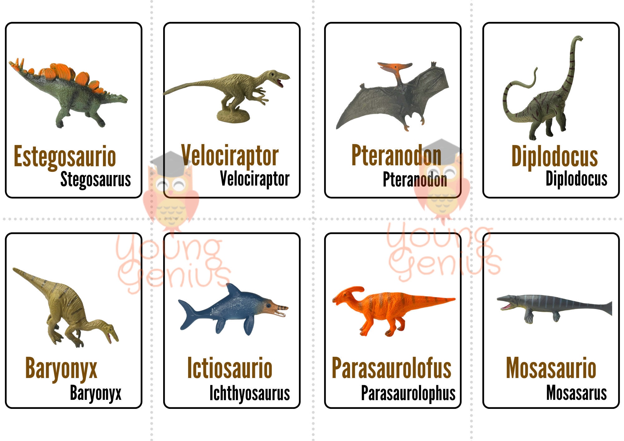 DIGITAL Dinosaurs -flashcards in Spanish DOWNLOAD - Etsy Australia
