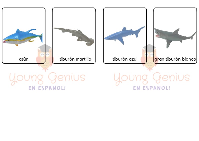 DIGITAL Ocean Animals in Spanish DOWNLOAD Flashcards - Etsy
