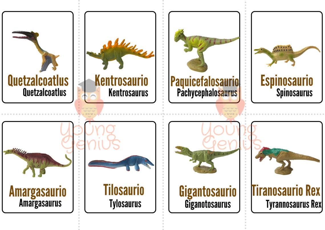 DIGITAL Dinosaurs -flashcards in Spanish DOWNLOAD - Etsy Australia