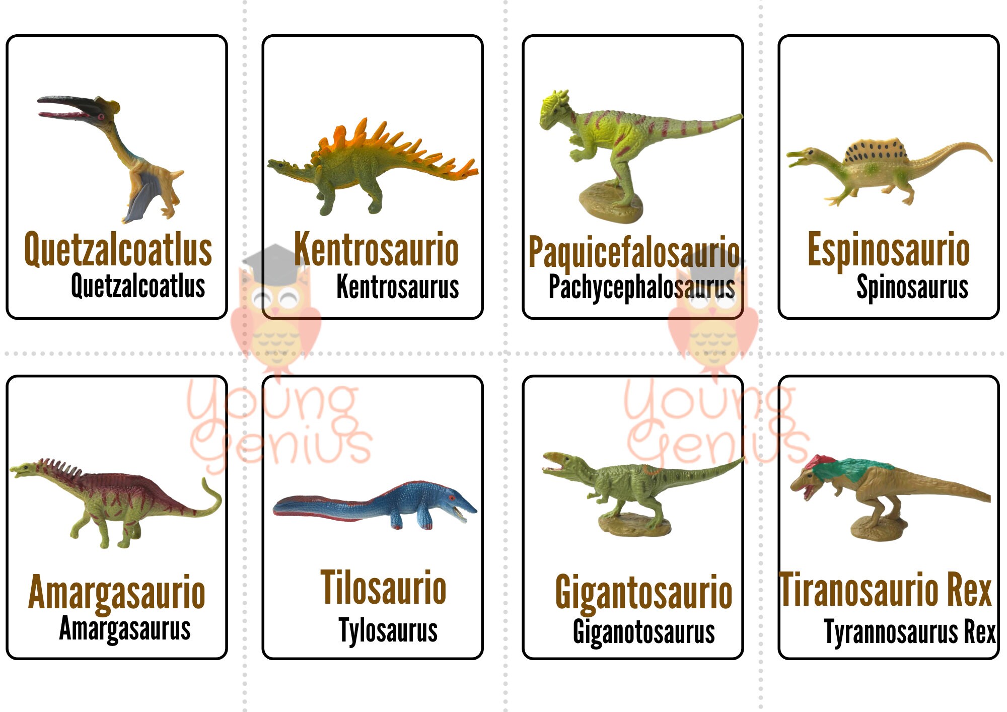 DIGITAL Dinosaurs flashcards in Spanish DOWNLOAD - Etsy Singapore