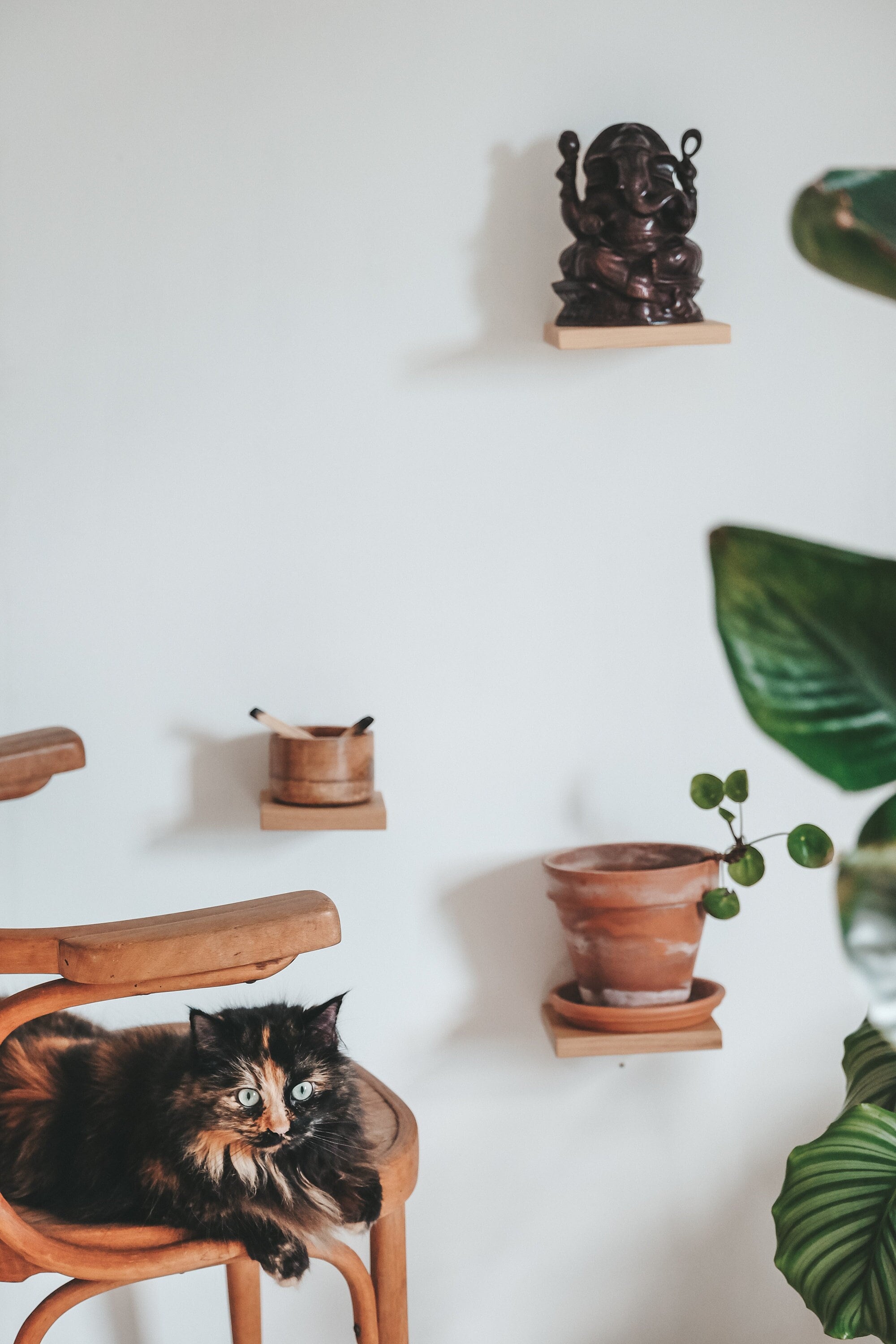 Minimalist Floating Shelf — Maloo Design