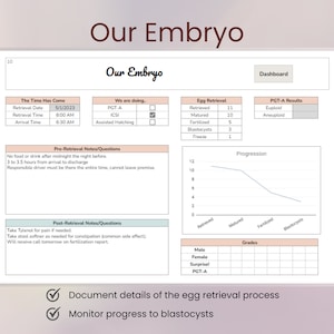 Digital IVF Tracking Spreadsheet | Fertility Treatment Planner ...