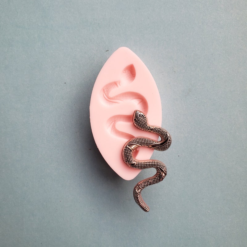 Snake Resin Molds - Etsy