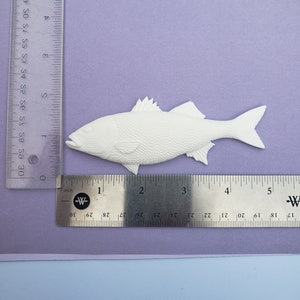 Freshwater Fish, Striped Bass Silicone Rubber Mold for Resin, Jewelry ...