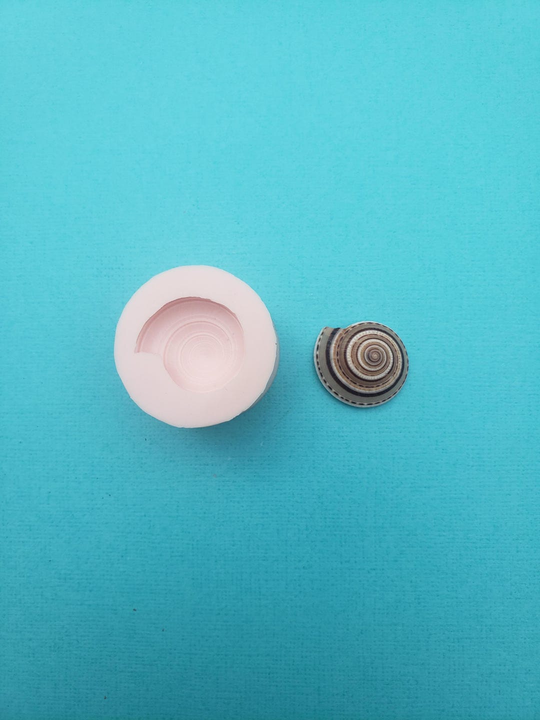 Sundial Seashell Nautical Beach Silicone Mold for Resin, Candy, Fondant ...