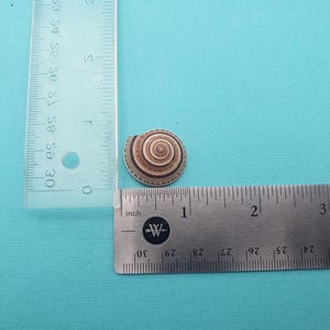 Sundial Seashell Nautical Beach Silicone Mold for Resin, Candy, Fondant ...