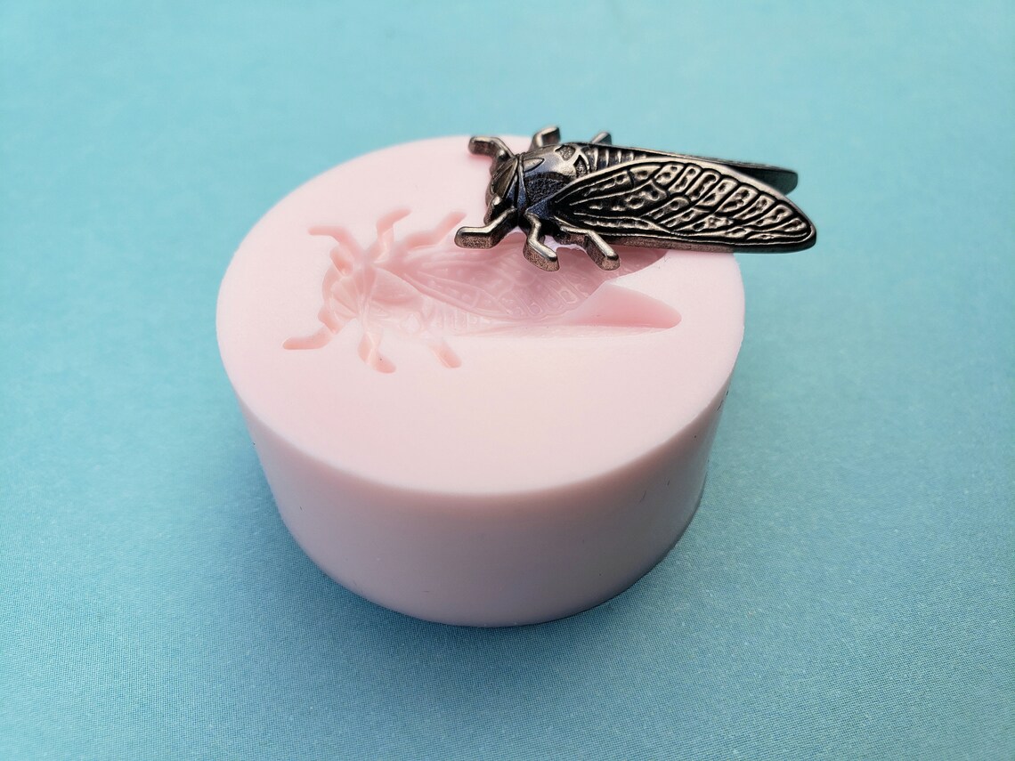 Cicada Insect Bugs Silicone Rubber Mold for Cake Candy - Etsy