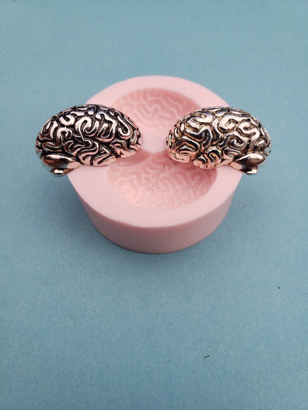 Brain Human Body Anatomy Silicone Rubber Mold for Resin, Jewelry, Clay ...