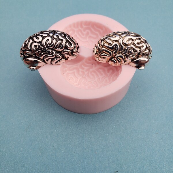 Human Anatomy Mold - Etsy