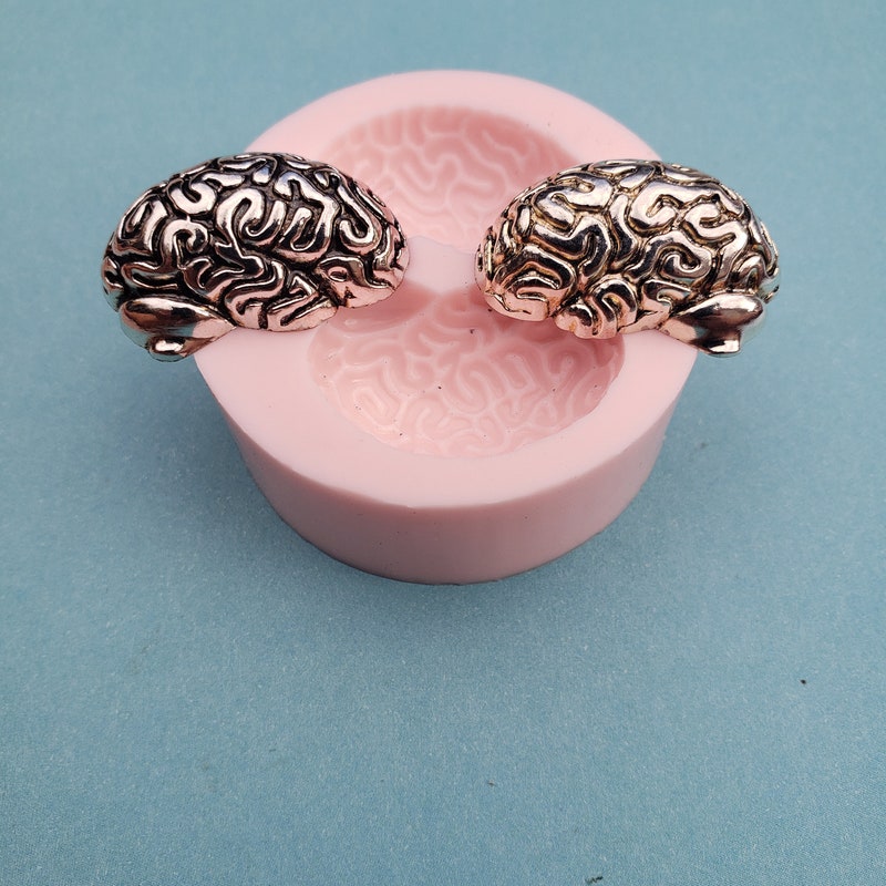 Brain Candy Mold - Etsy