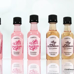 Cupids Love Potion & Antidote Adult Valentines Day Party Favors ...