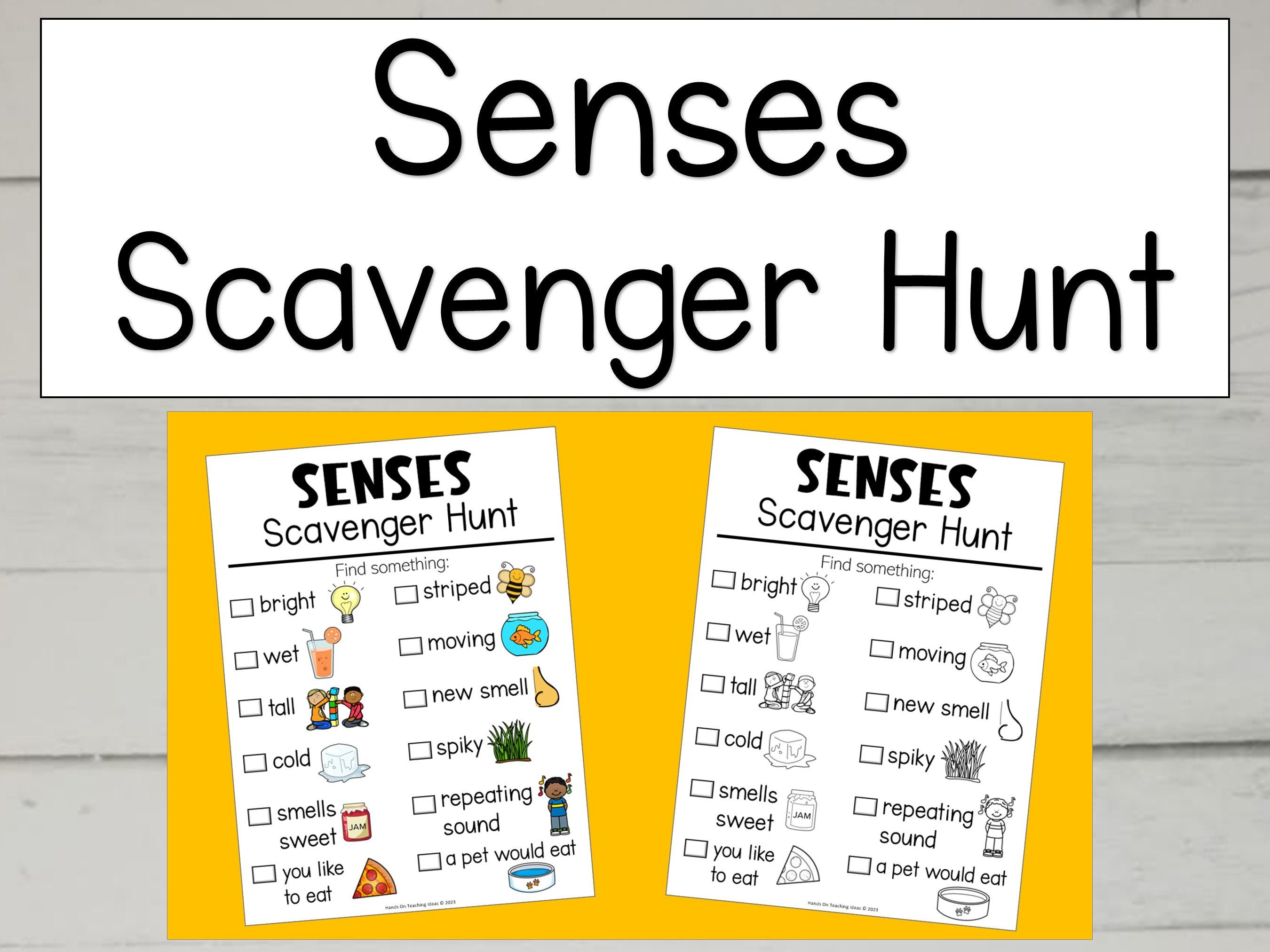 Scavenger Hunt Senses, Senses Scavenger Hunt, Treasure Hunt for Kids ...
