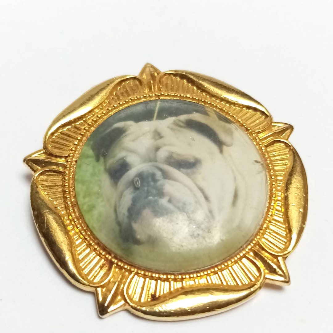 Bulldog Medal Pin, English Bulldog Club Pin , English Bulldog, Photo ...