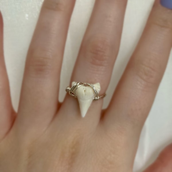 Shark Tooth Ring - Etsy