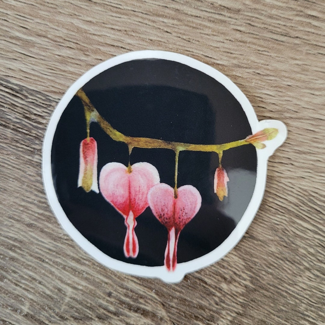 Bleeding Heart Watercolor Sticker - Etsy