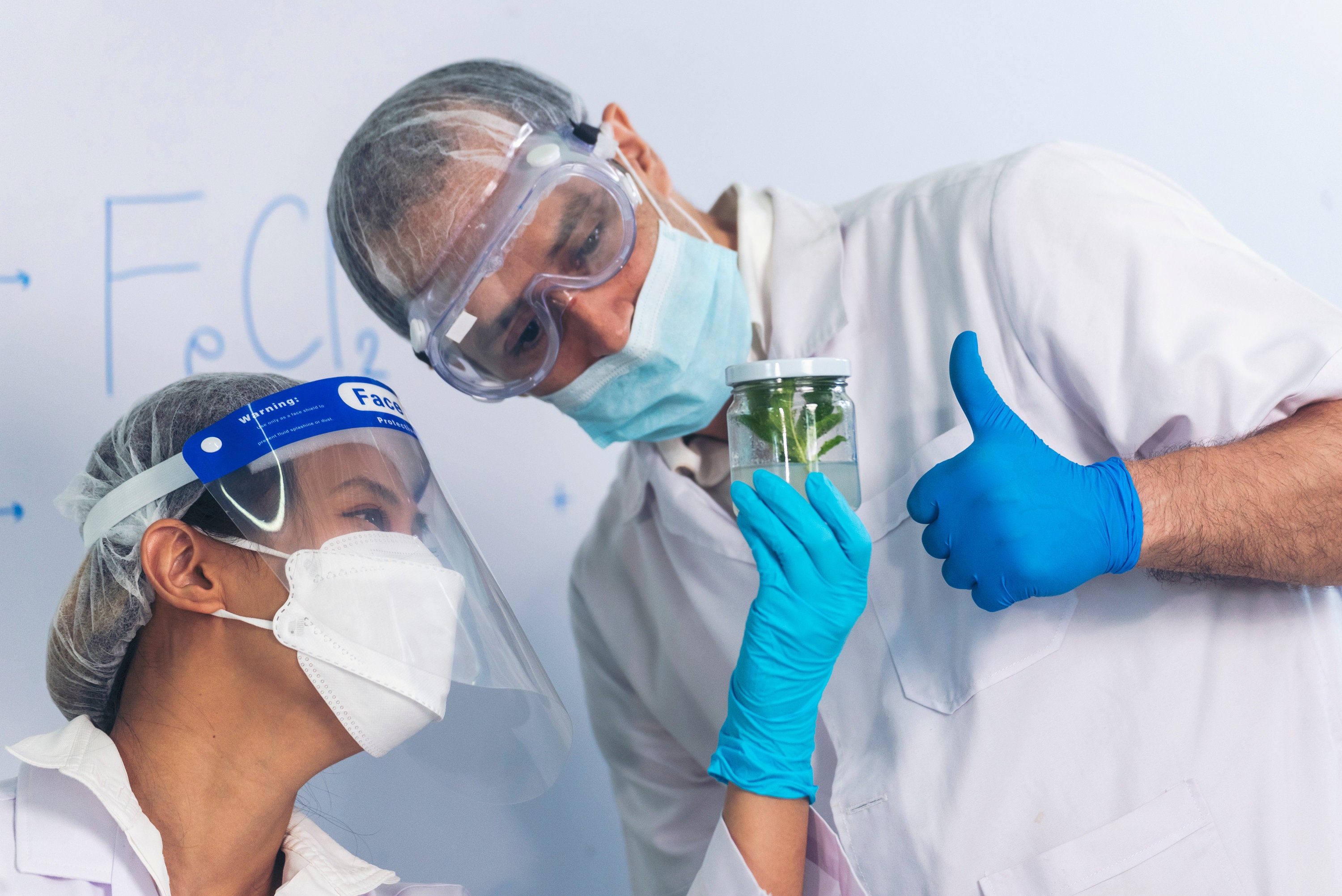 How to Tissue Culture Master Class - Digital Download - Etsy