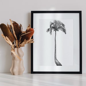 Palm Tree, Ink Drawing in Black and White, Minimalistic Pen Sketch ...