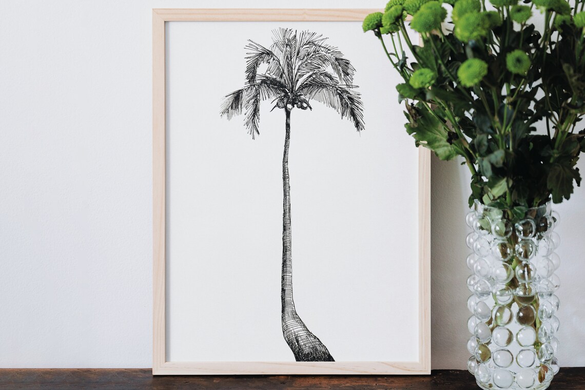 Palm Tree, Ink Drawing in Black and White, Minimalistic Pen Sketch ...