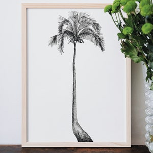 Palm Tree, Ink Drawing in Black and White, Minimalistic Pen Sketch ...