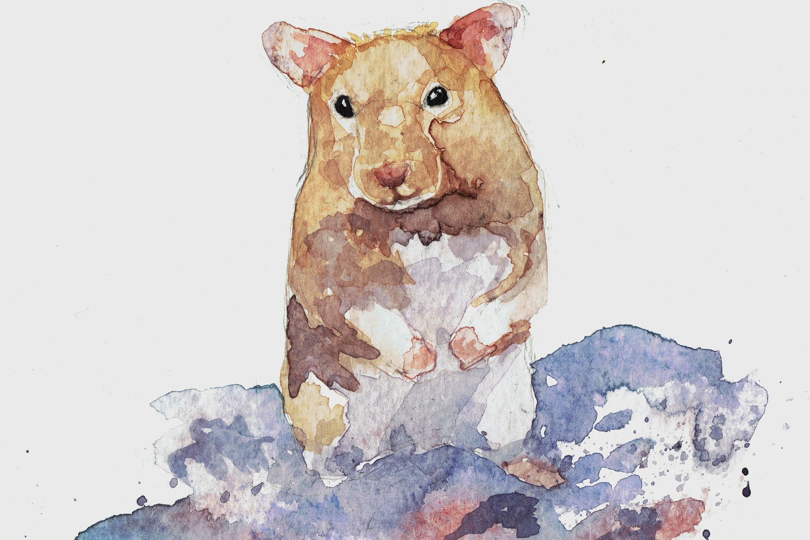 Little Hamster - Watercolor Painting, Cute Animal, Pet Portrait Art ...
