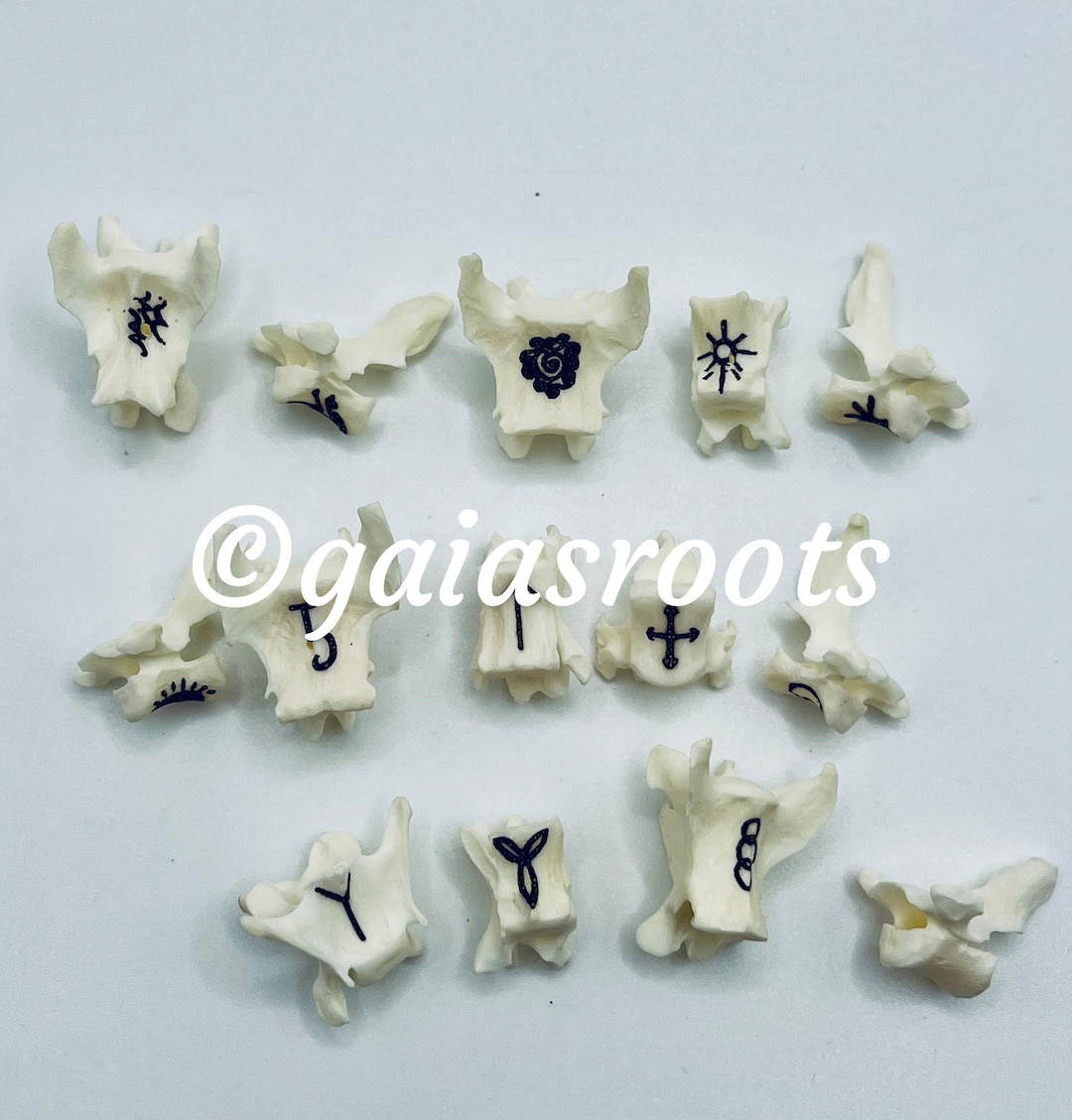 Fox Vertebrae Bone Runes Witch Handmade - Etsy