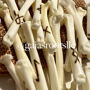 Rabbit Foot Bone Runes Elder Futhark Handmade - Etsy