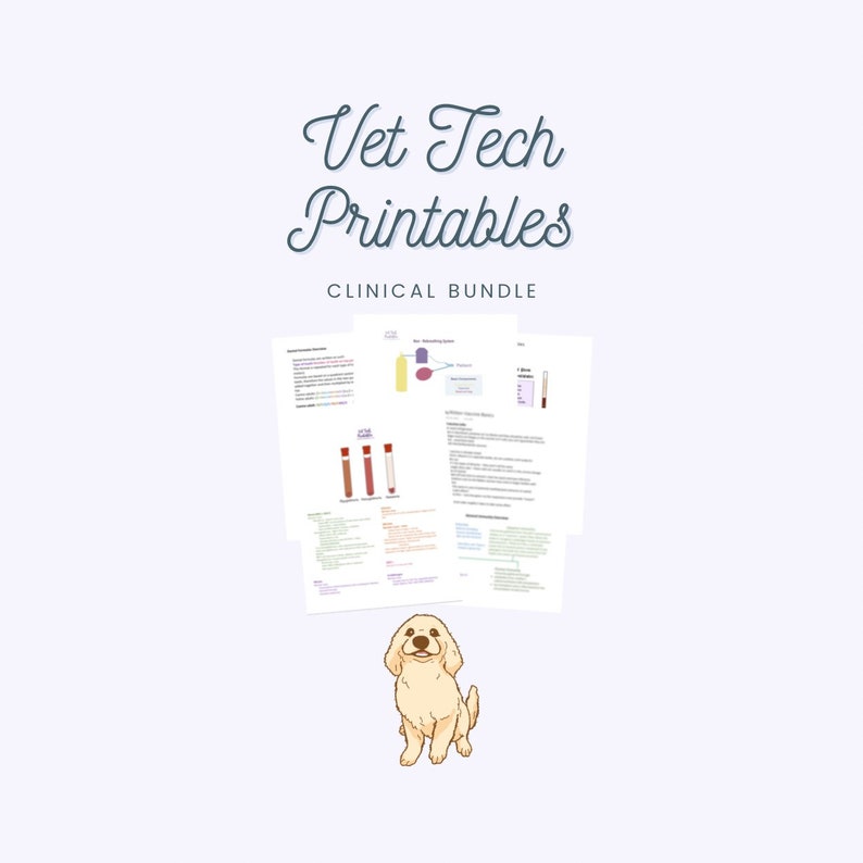 CLINICAL BUNDLE Vet Tech Study Guides Color Coded VTNE Notes - Etsy