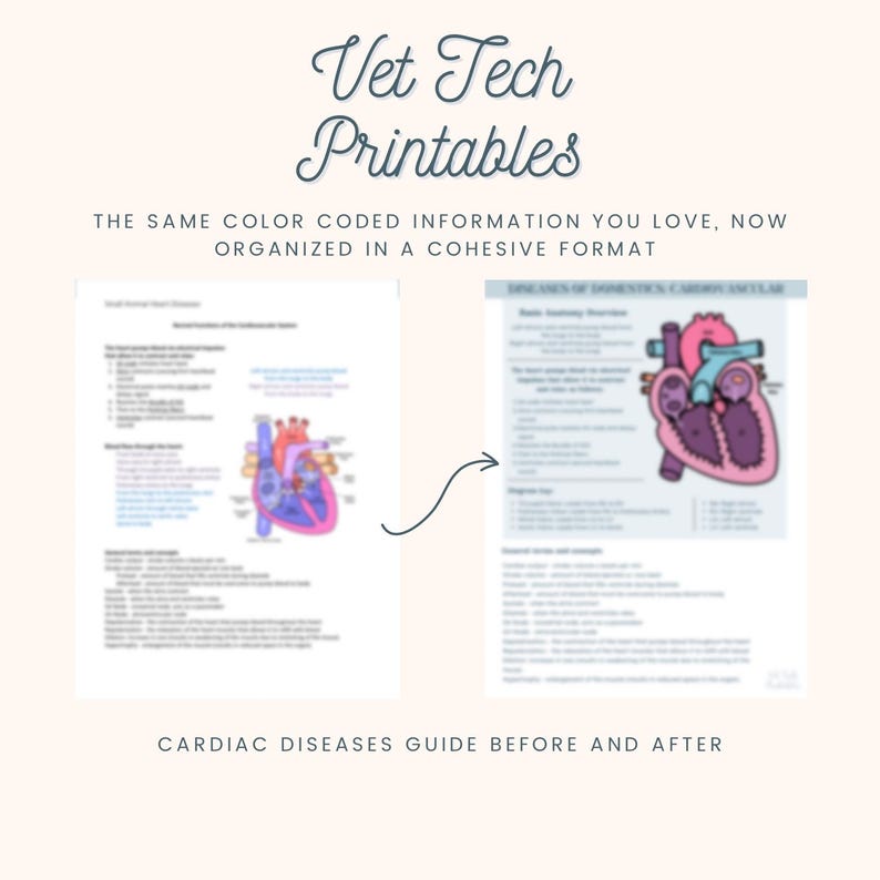 Basics of CARDIAC DISEASES Vet Tech Color Coded Veterinary Study Guides ...