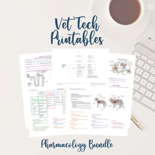 PHARMACOLOGY BUNDLE Vet Tech Study Guides Color Coded VTNE - Etsy