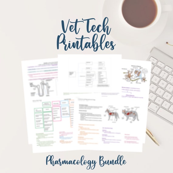 PHARMACOLOGY BUNDLE Vet Tech Study Guides Color Coded VTNE - Etsy