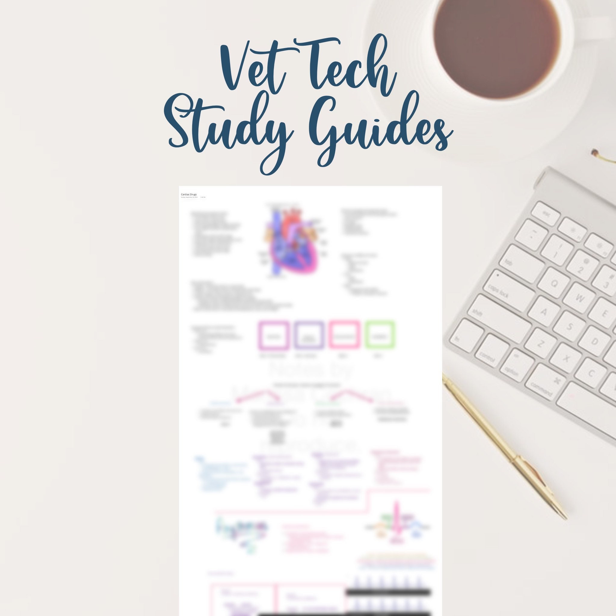 CARDIAC DRUGS Vet Tech Pharmacology Color Coded Study Guides | Etsy