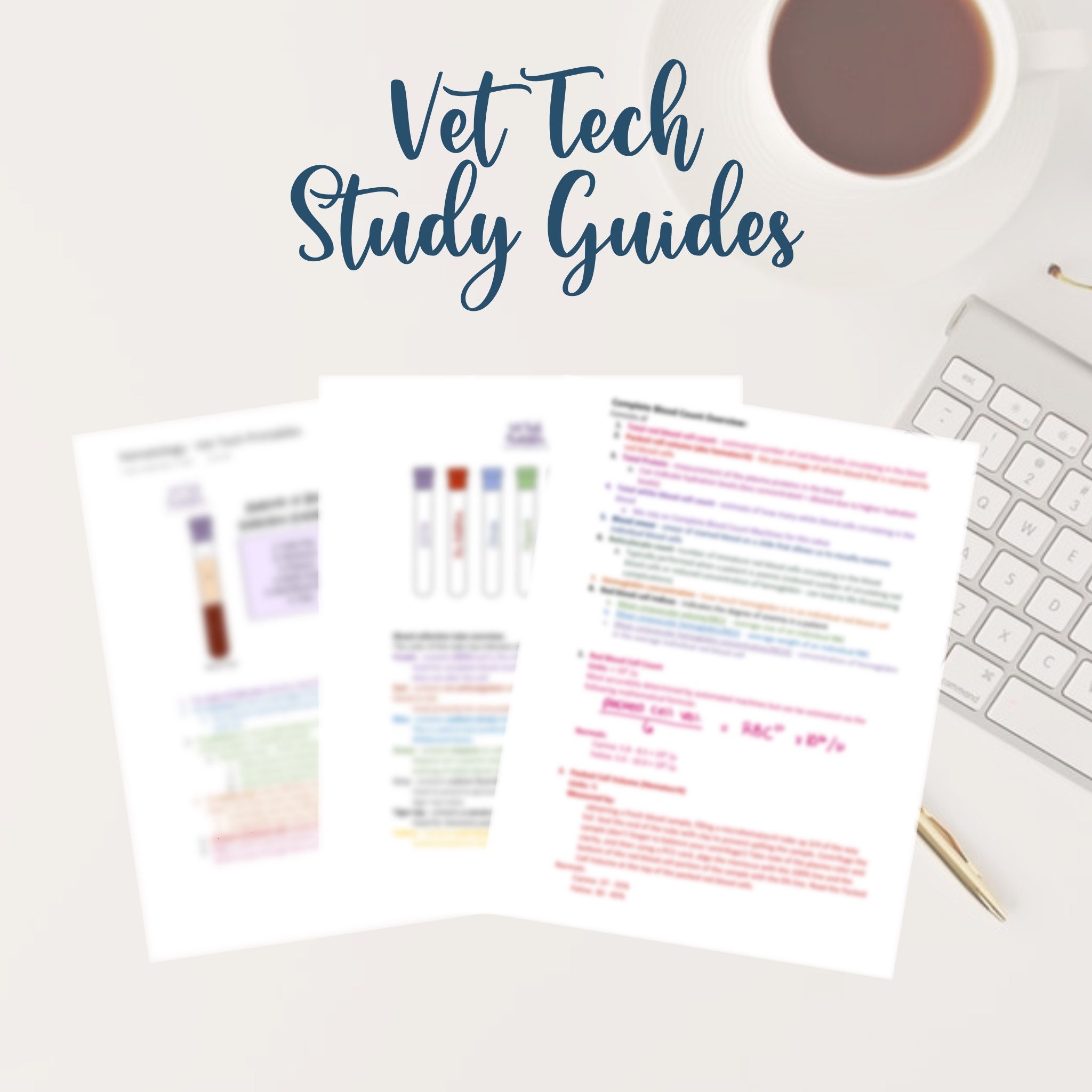 Hematology Vet Tech Study W/ Flash Cards Guides Color Coded | Etsy