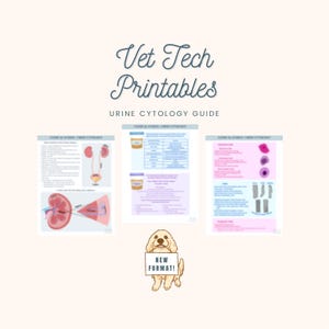 Urine Cytology Basics Vet Tech Study Guides Color Coded VTNE Notes - Etsy