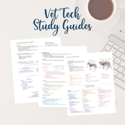 EXTERNAL PARASITES Vet Tech Study Guides Color Coded VTNE - Etsy