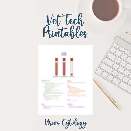 PHARMACOLOGY BUNDLE Vet Tech Study Guides Color Coded VTNE - Etsy