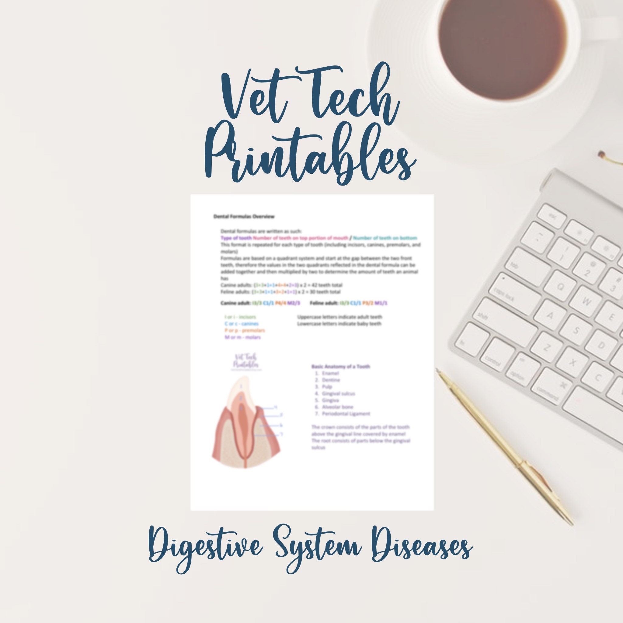 DIGESTIVE SYSTEM DISEASES Vet Tech Color Coded Veterinary - Etsy