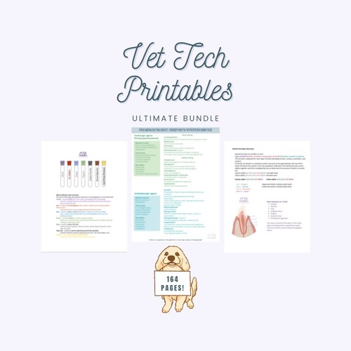 Ultimate 164 Page Vet Tech BUNDLE Study Guides Color Coded - Etsy