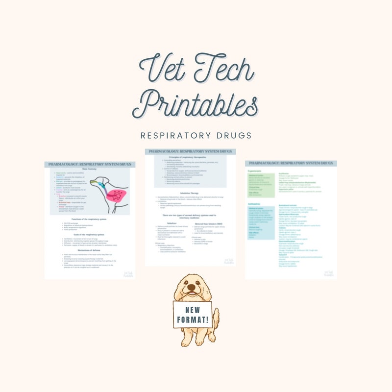 VetTechPrintables - Etsy