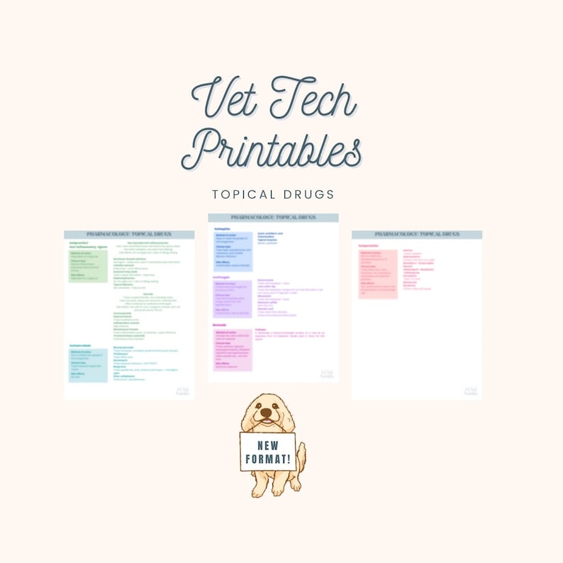 PHARMACOLOGY BUNDLE Vet Tech Study Guides Color Coded VTNE - Etsy