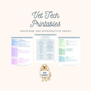 VetTechPrintables - Etsy