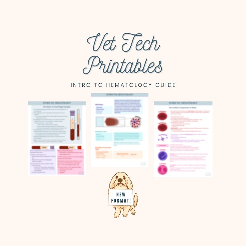 VetTechPrintables - Etsy