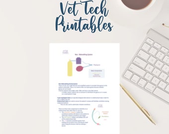 Anesthesia Study - Etsy