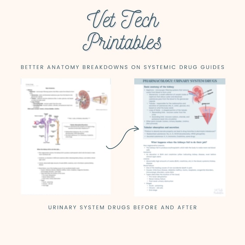 PHARMACOLOGY BUNDLE Vet Tech Study Guides Color Coded VTNE Notes - Etsy