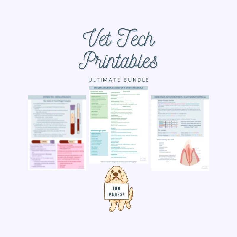 VetTechPrintables - Etsy